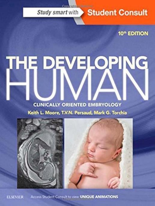 Embryology Interactive Guide: Embryology of Reproduction and the Breast