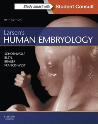 Embryology Interactive Guide: Development of the Endocrine System
